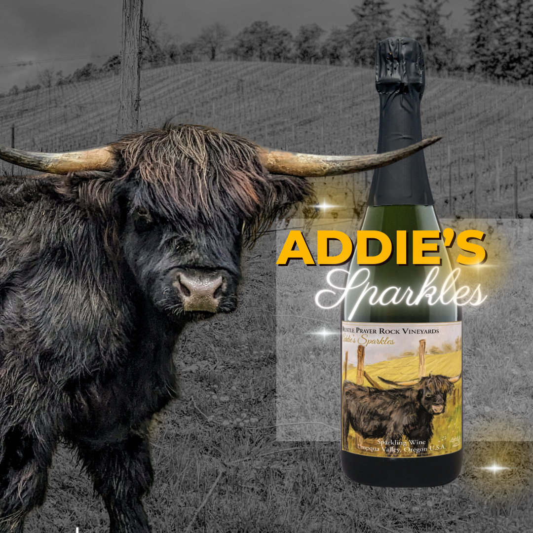 2022 Addie's Sparkles Release | Reustle Prayer Rock Vineyards