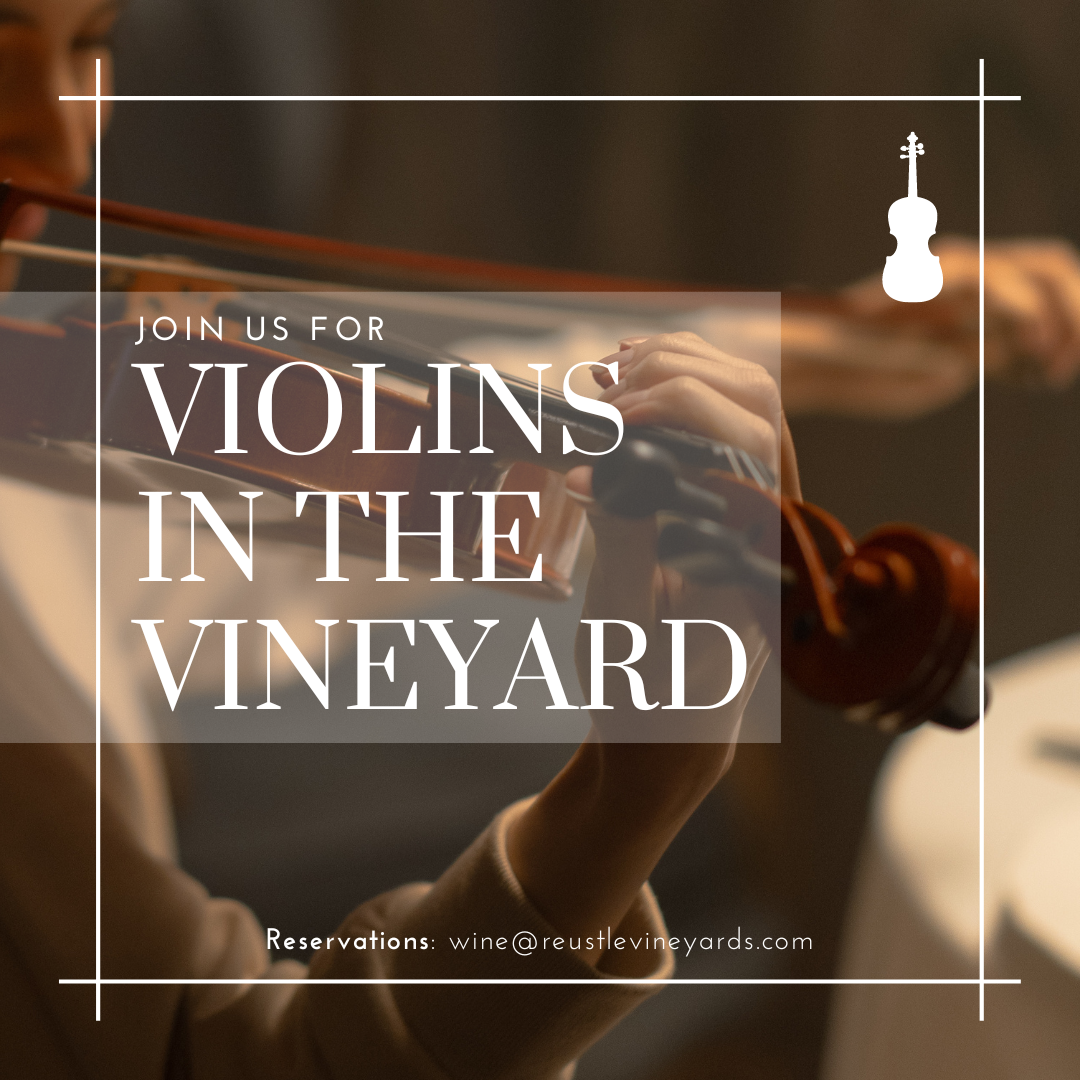 Violins in the Vineyard | Reustle Prayer Rock Vineyards